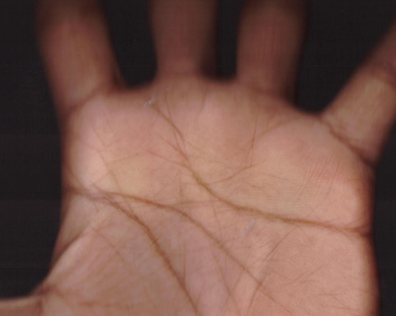 Vertical Line On Mount Of Jupiter From Life Line In Palmistry ~ INDIAN ...