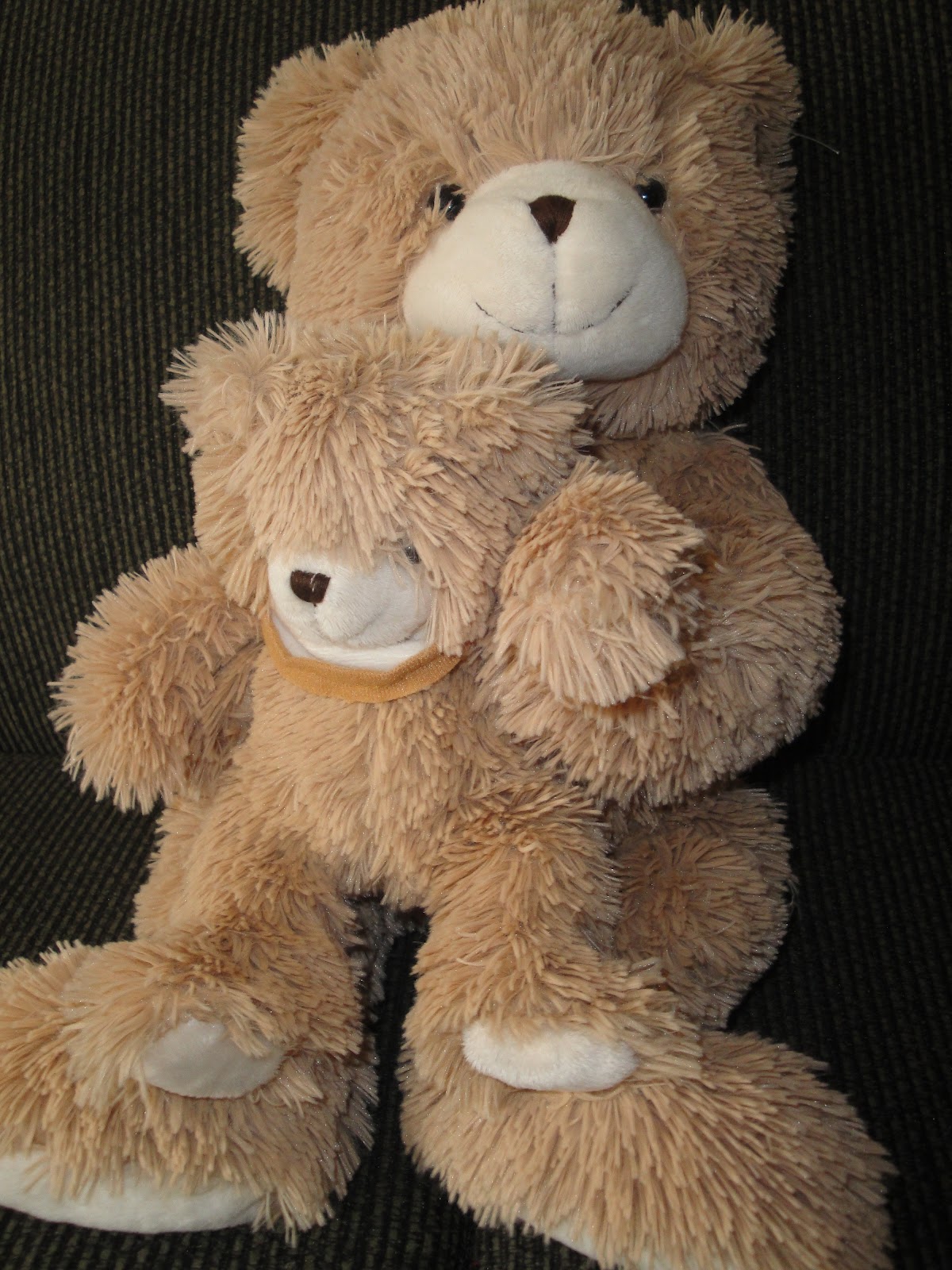 The Busy Day........: My Teddy Bear Collections