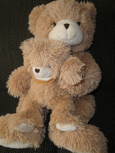 The Busy Day........: My Teddy Bear Collections