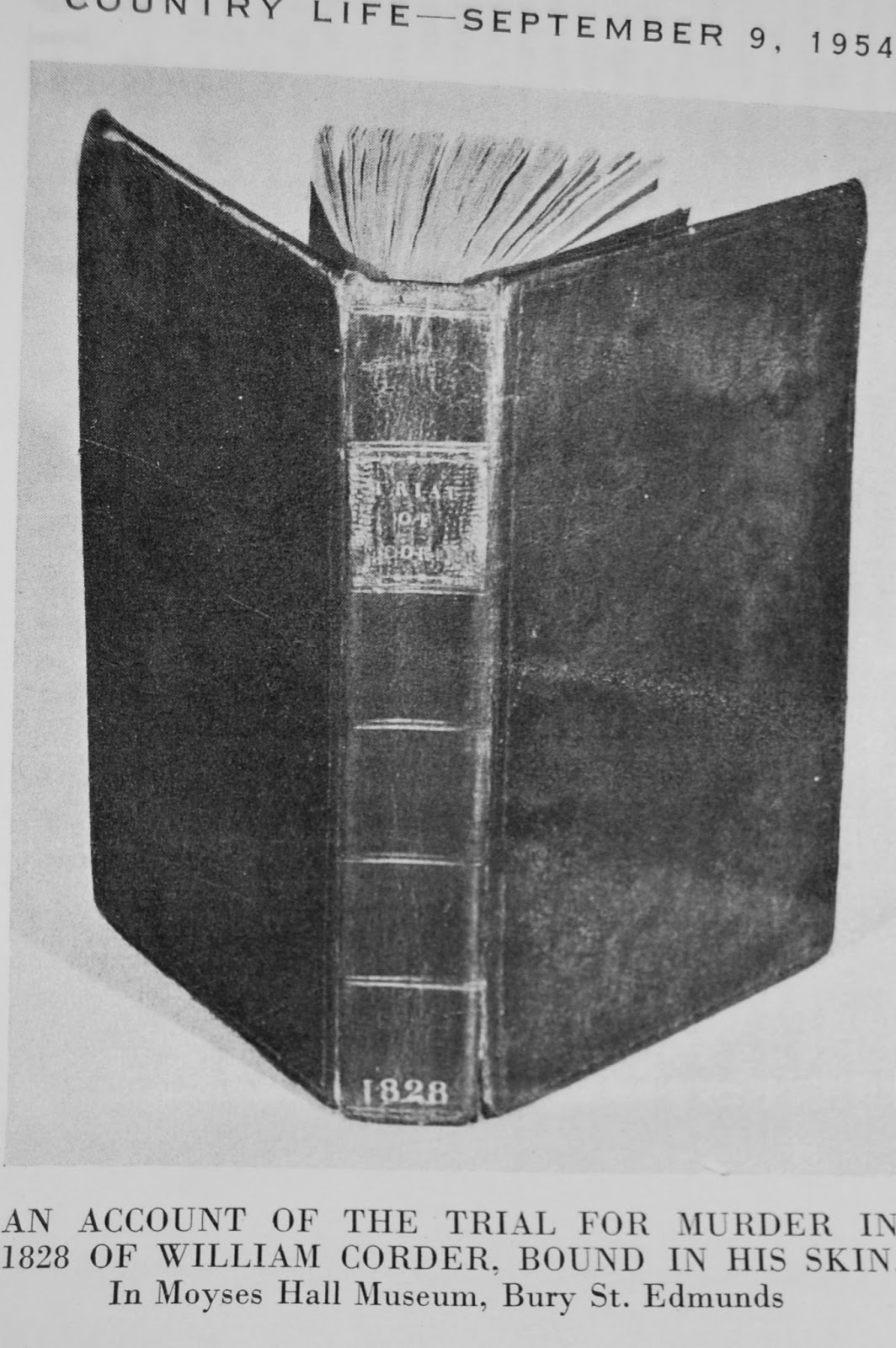 Wyrd England Gazetteer: Mary Bateman's Skin