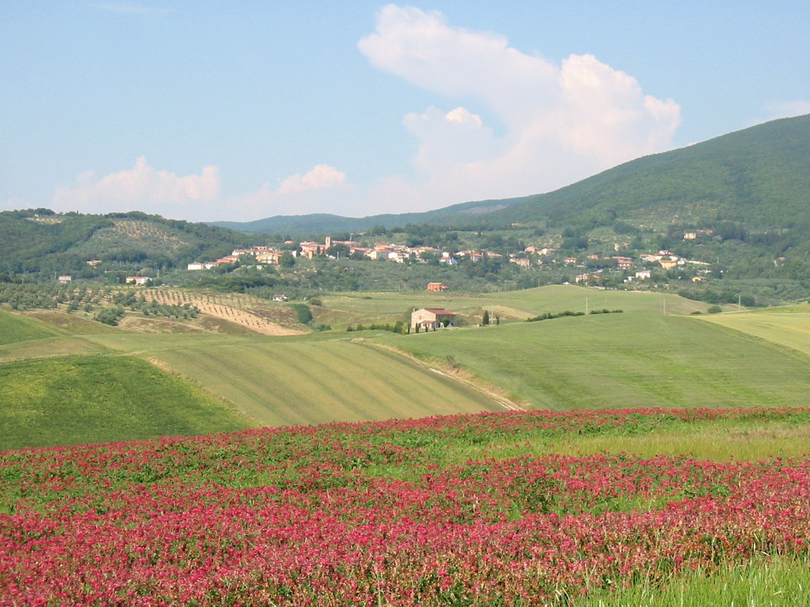 50 Hikes In and Around Tuscany