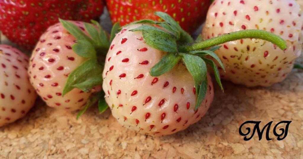 pineberry white dream - die weisse Erdbeere