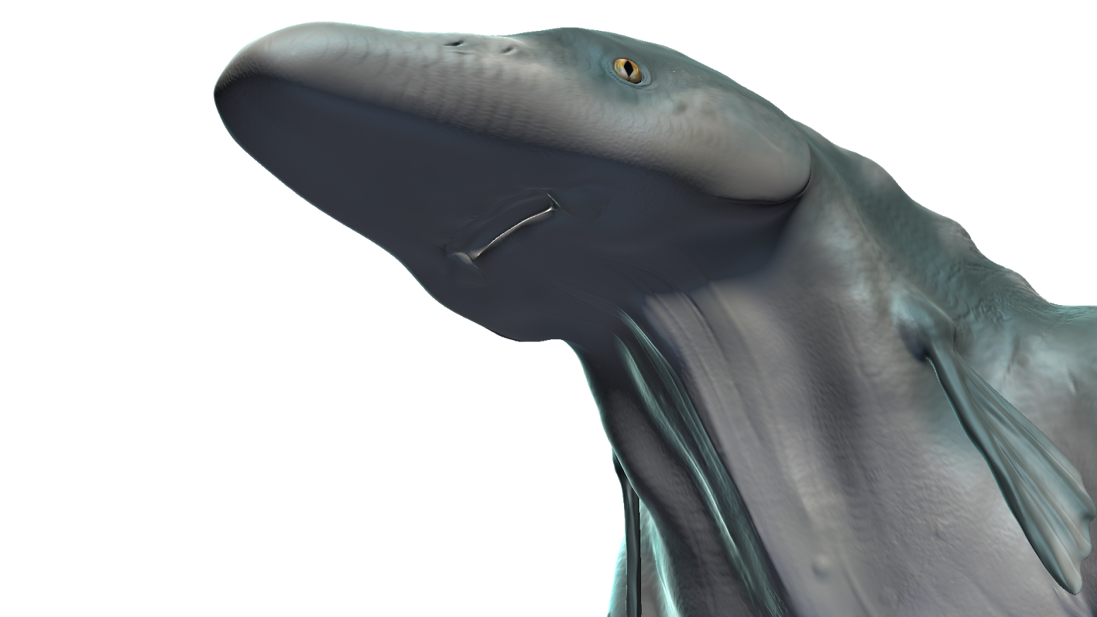 Creature 3D Model | Space Cadet