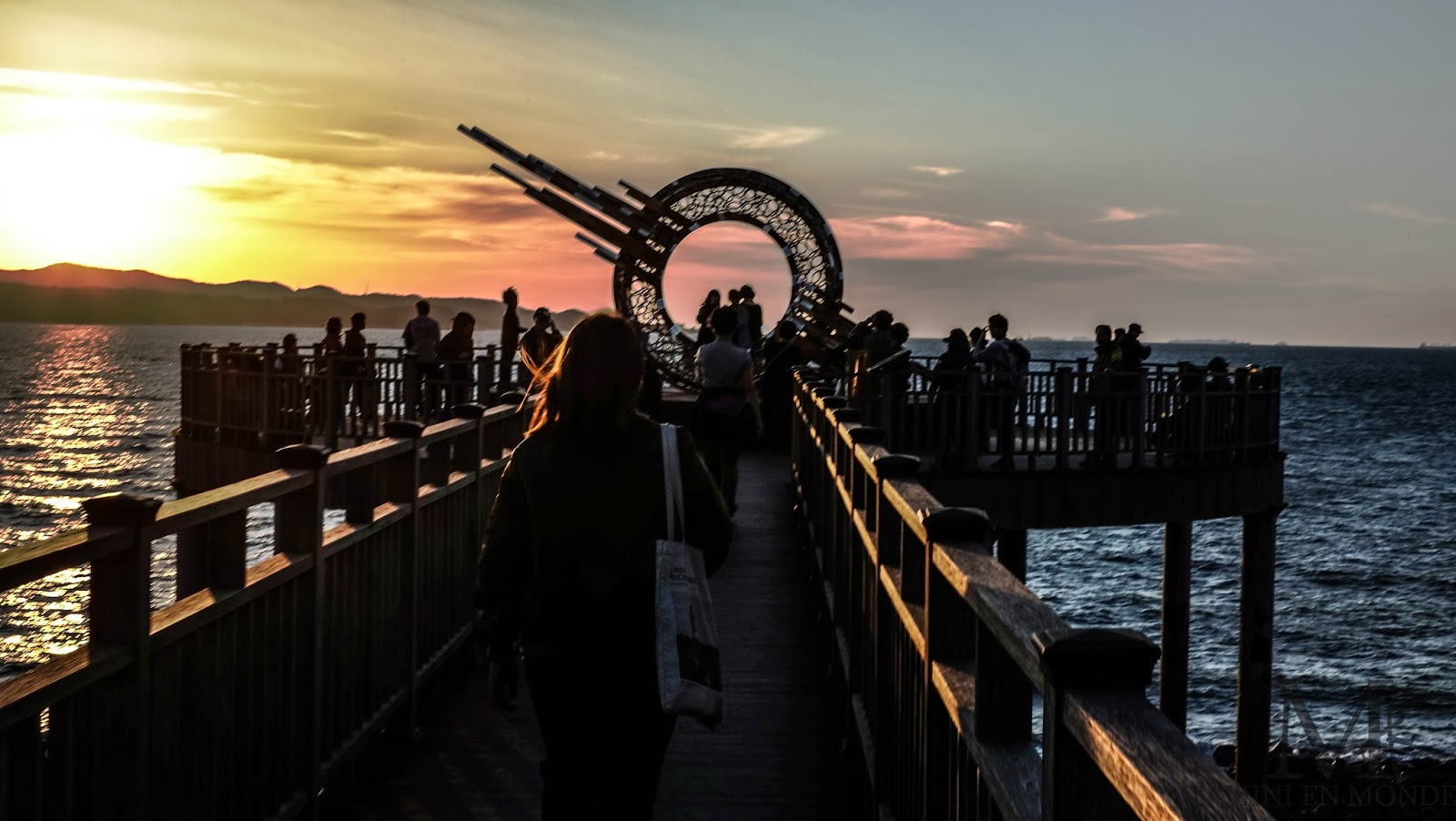 Daebu Island - The Gorgeous Natural Utopia | GGTour (Gyeonggi Tourism)