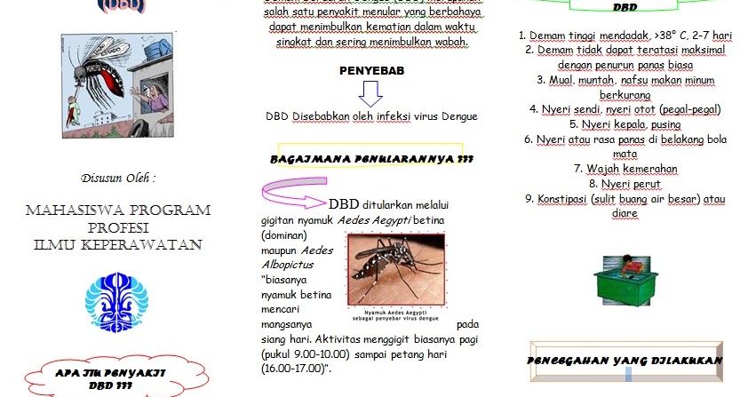 PM Info Channel: Contoh Leaflet Demam Berdarah (DBD)