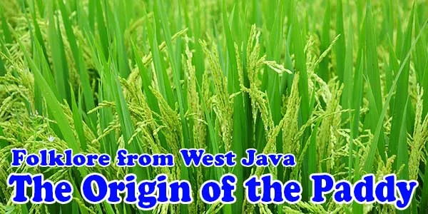 Folklore for Kids: The Origin of the Paddy