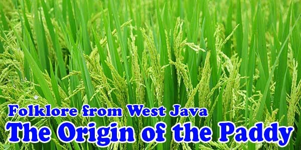 Folklore for Kids: The Origin of the Paddy