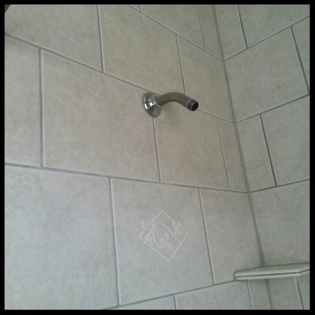 Luxurious Dual Shower Head!