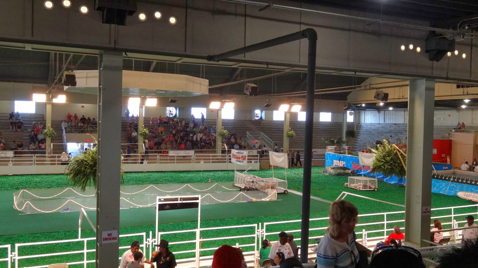 State Fair of Texas 2013: Pig Races at the Texas State Fair 2013