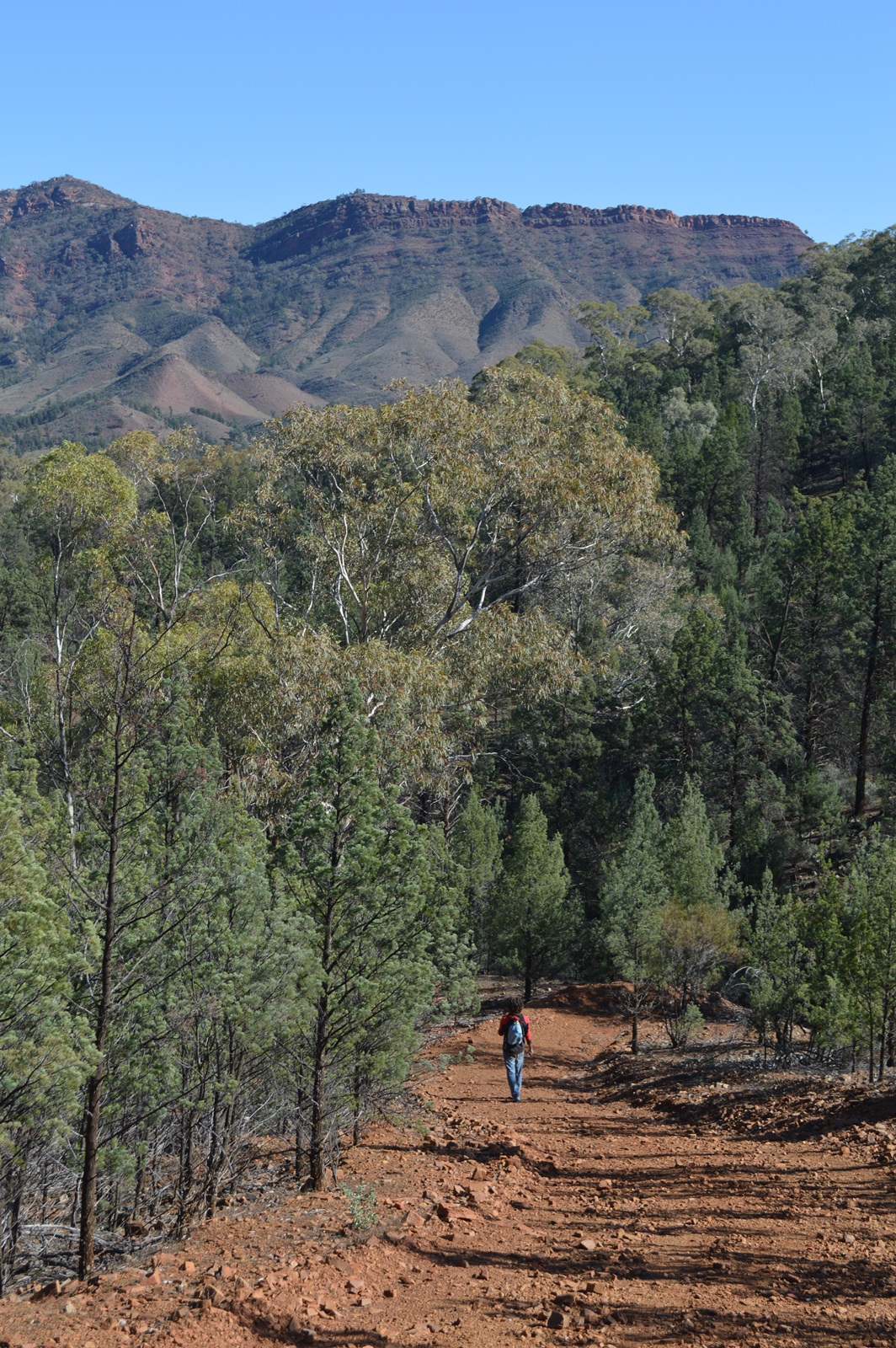 FURGONETA AZUL: FLINDERS NATIONAL PARK, AROONA VALLEY Y RED HILL LOOKOUT