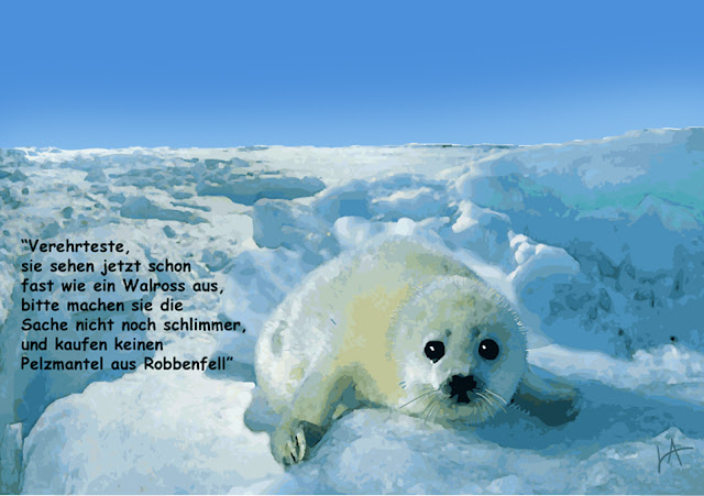 Tagesfisch: kleine Robbe