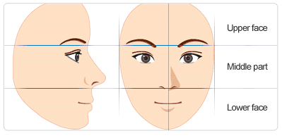 ID Hospital Korea: [ID hospital Korea] Self diagnosis for small chin