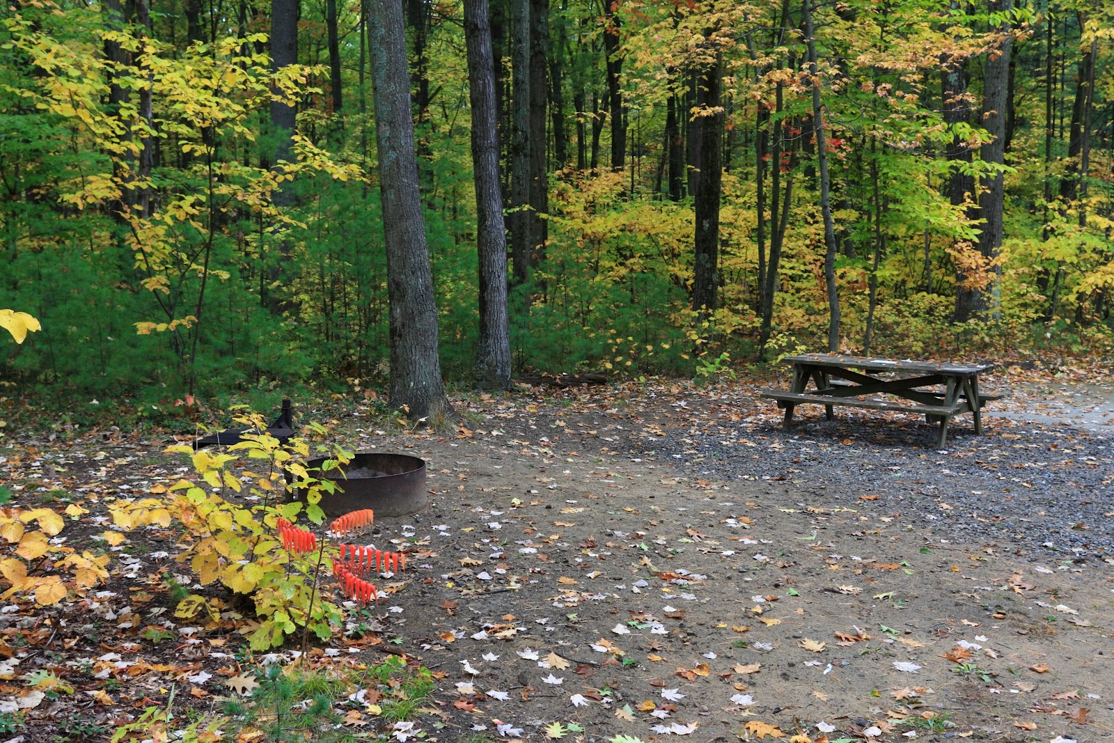 The Campsites: Oka National Park, site 84