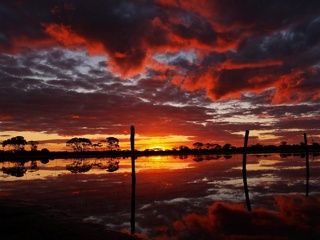 My Mobile Store: Nature Wallpapers (Resolution - 320 x 240)