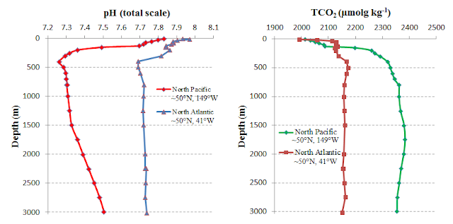 Charismatic Microfauna: Seawater Chemistry: North Atlantic vs. North ...