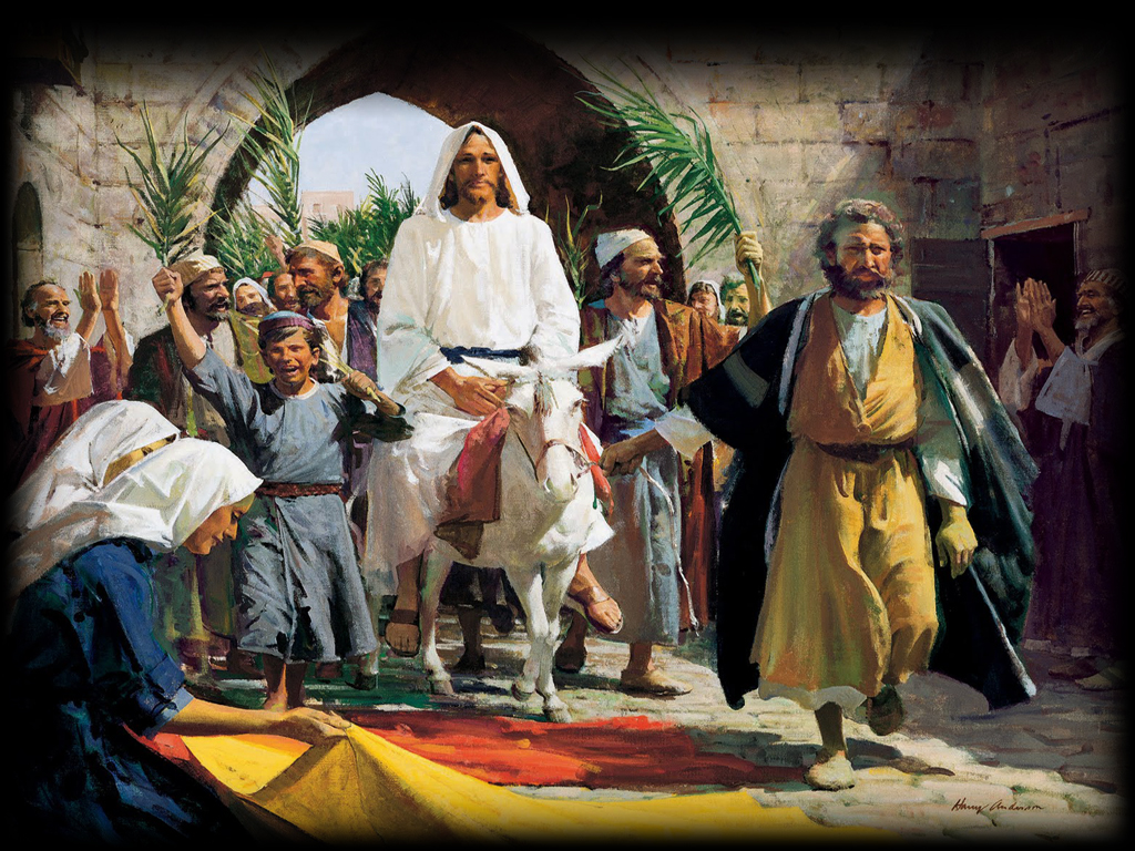 Holy Mass images...: Palm Sunday of the Lord's Passion