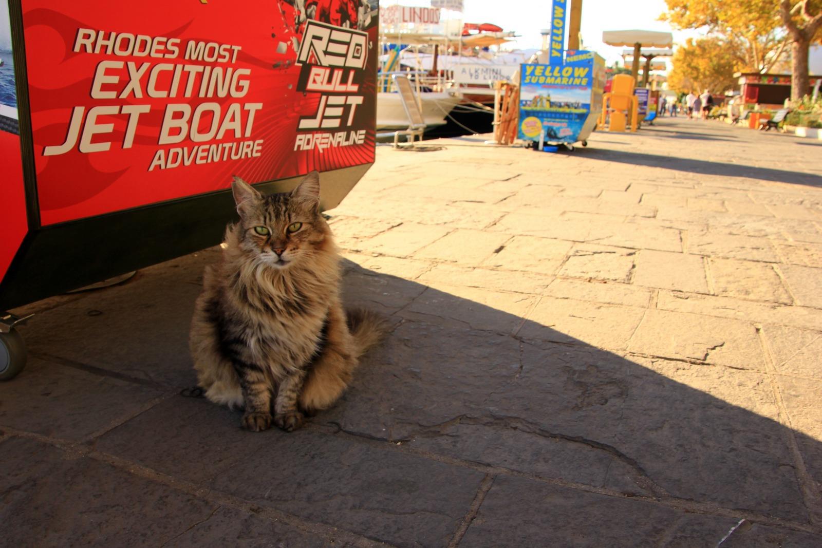 Rodos - co warto zobaczyć? - czyli Rodos - Top 10 - Górskie szlaki