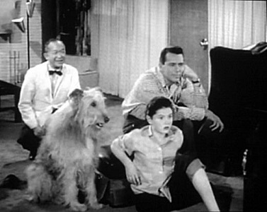 INNER TOOB: THURSDAY'S THEORY OF RELATEEVEETY - TONG & LING