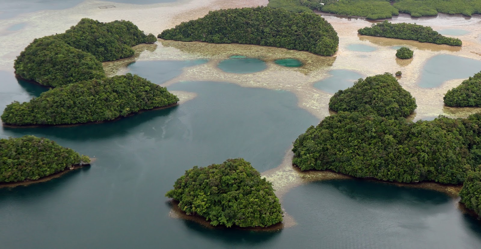 To Travel is to Live: Palau