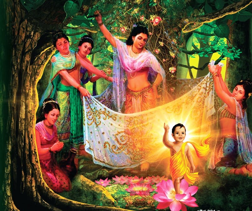 Lumbini Sal Tree found where Prince Siddhartha was born | Gossip Lanka ...