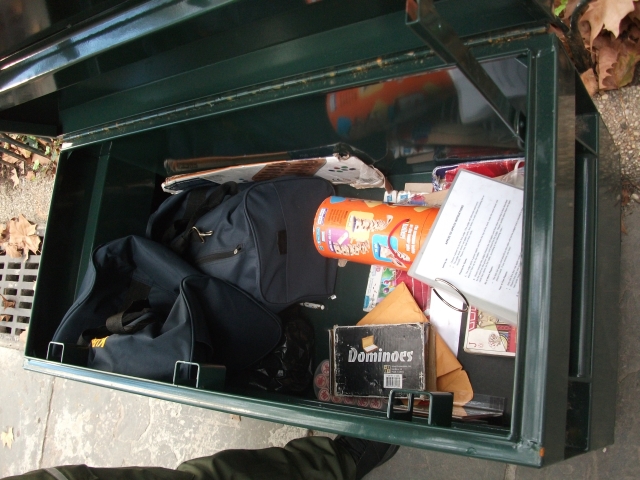 Homebound Fun: A Park for All Seasons: Bryant Park