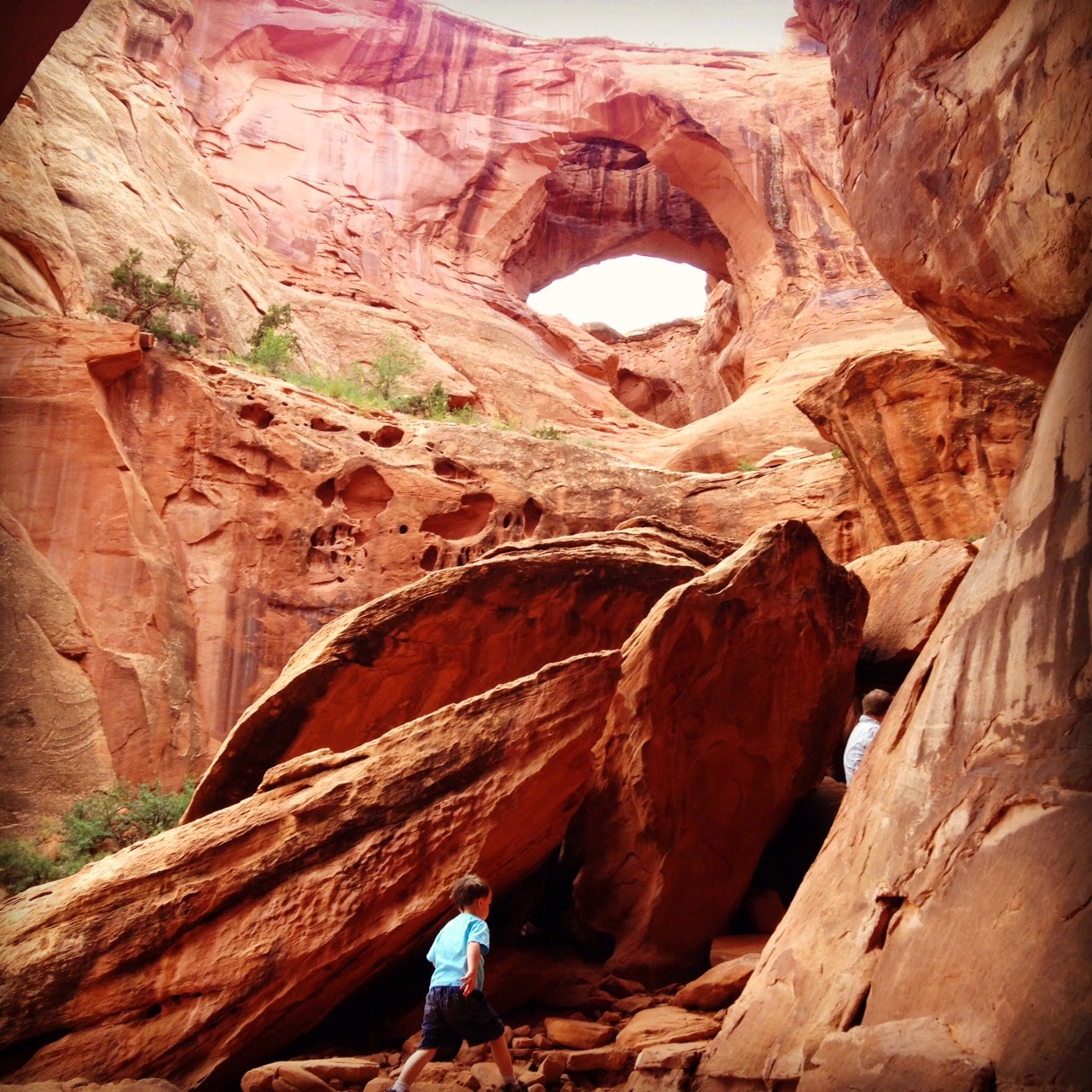 lake•salt•knit: Mitten Disaster