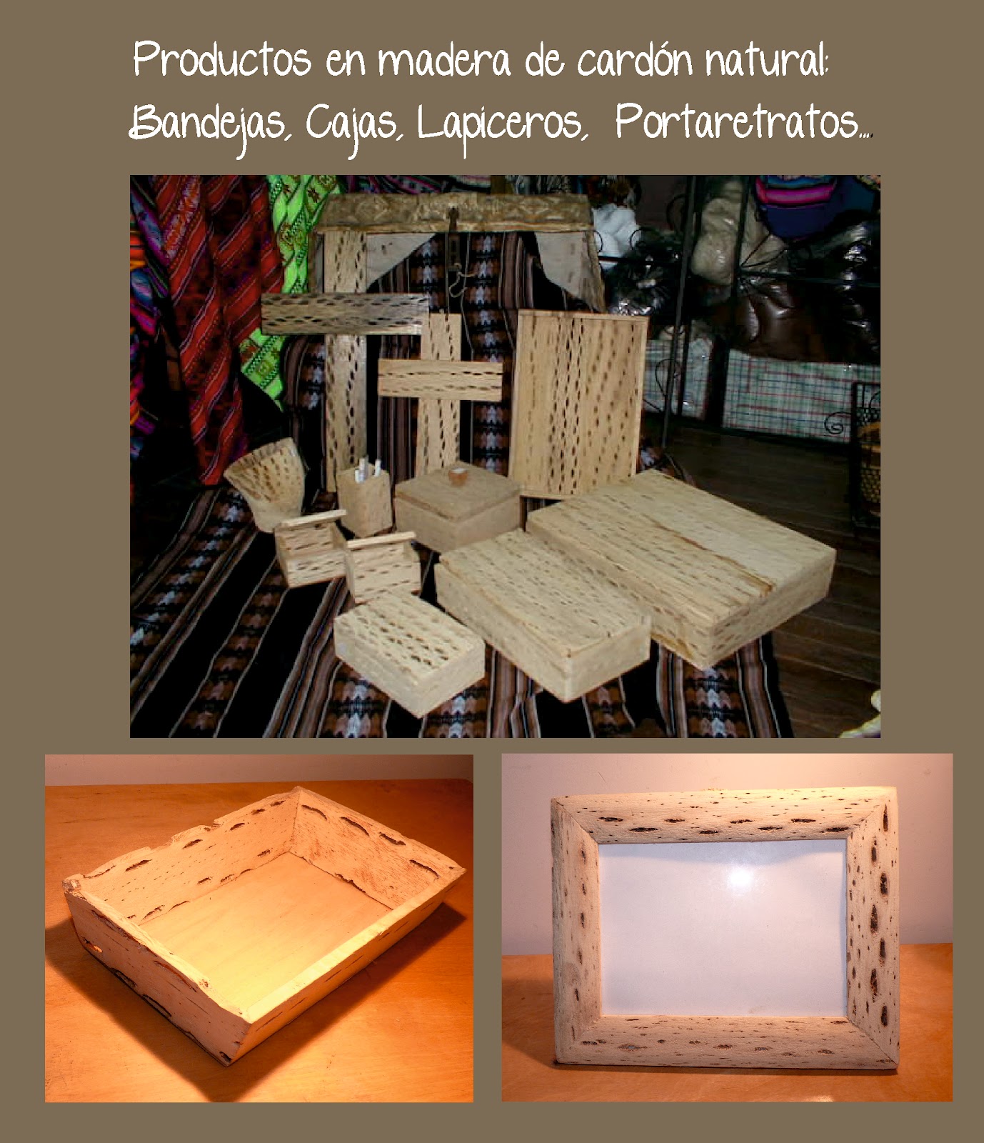 Nuestro Norte: CARDÓN NATURAL