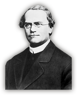 Desafiando a Nomenklatura Científica: As leis básicas de ...