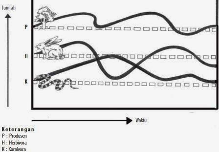 Hubungan Antar Komponen Ekosistem - Biologi SMP Kelas 7