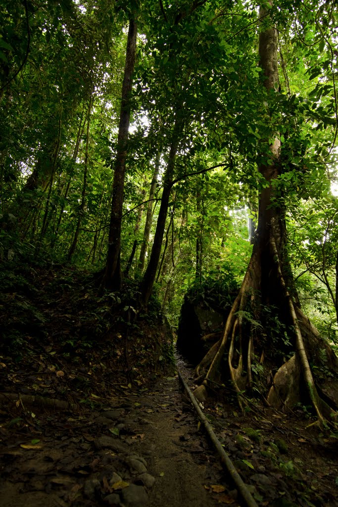 A lot of wanderings around India, A little around the world: A glimpse ...