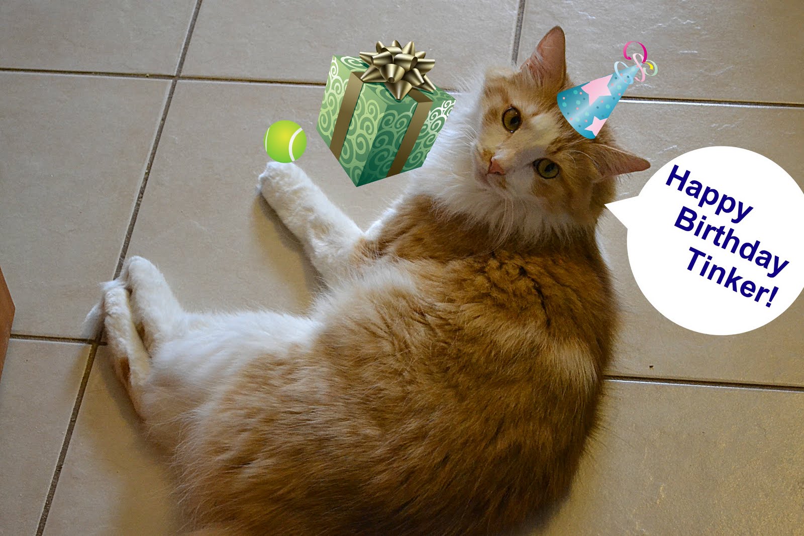 *TheCatStreetBoyz& Vanilla ICE: Mo Cats & Happy Birthday TINKER!