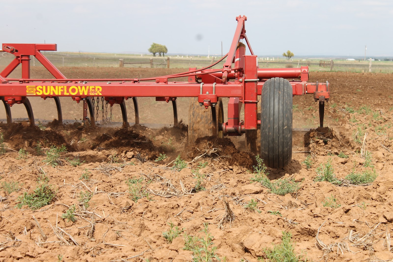 Country Sunshine Life: PLOWING!