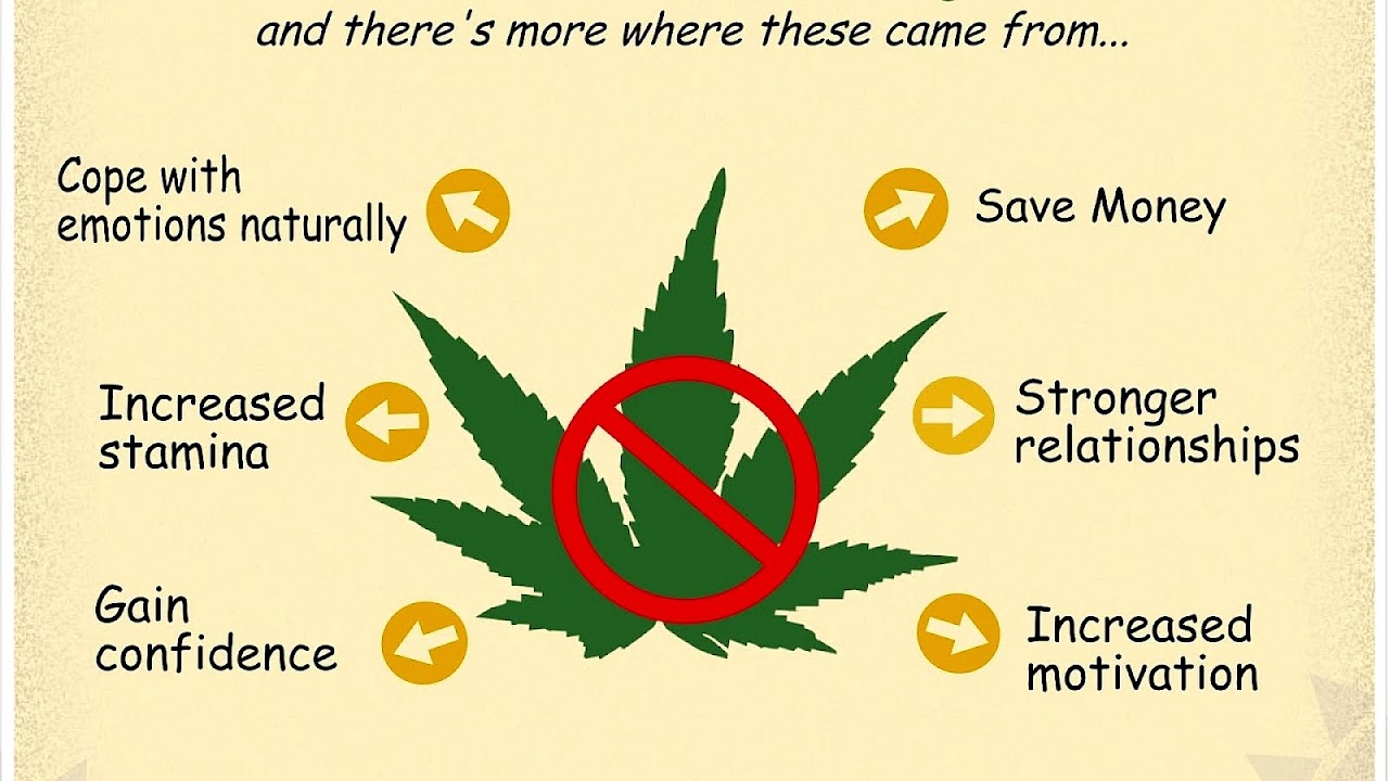 The Negative Effects Of Weed Effect Choices