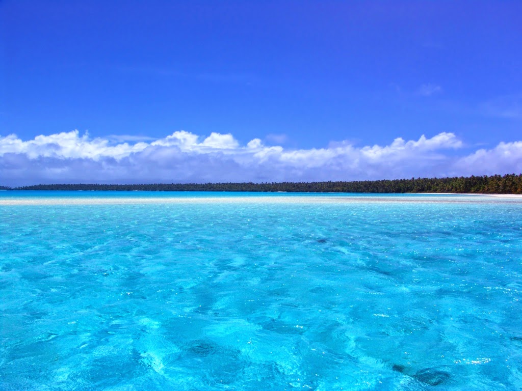 Por que a cor do mar é verde ou azul??? - Jabuti Rei