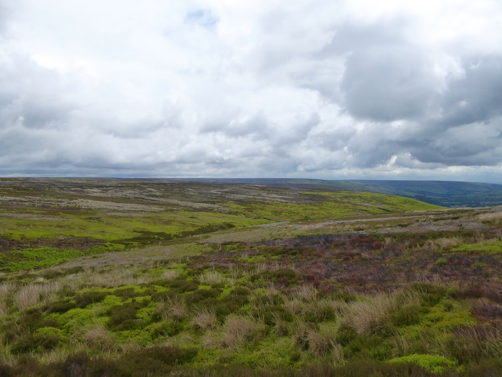 Jimmy Goanna Rides Again: Day 16: Dromonby Bridge to Blakely Ridge