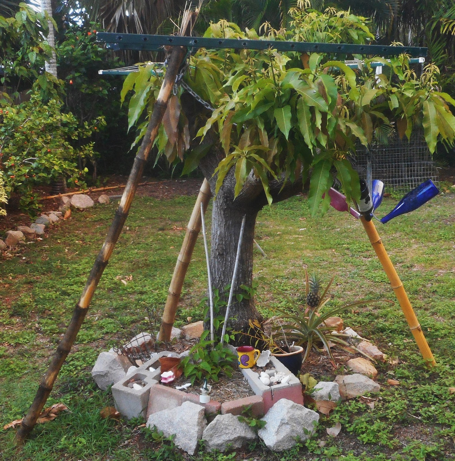 Little Darwin: WIGWAM FOR A GOOSE'S BRIDLE : TIMELY INAUGURAL AWARDS