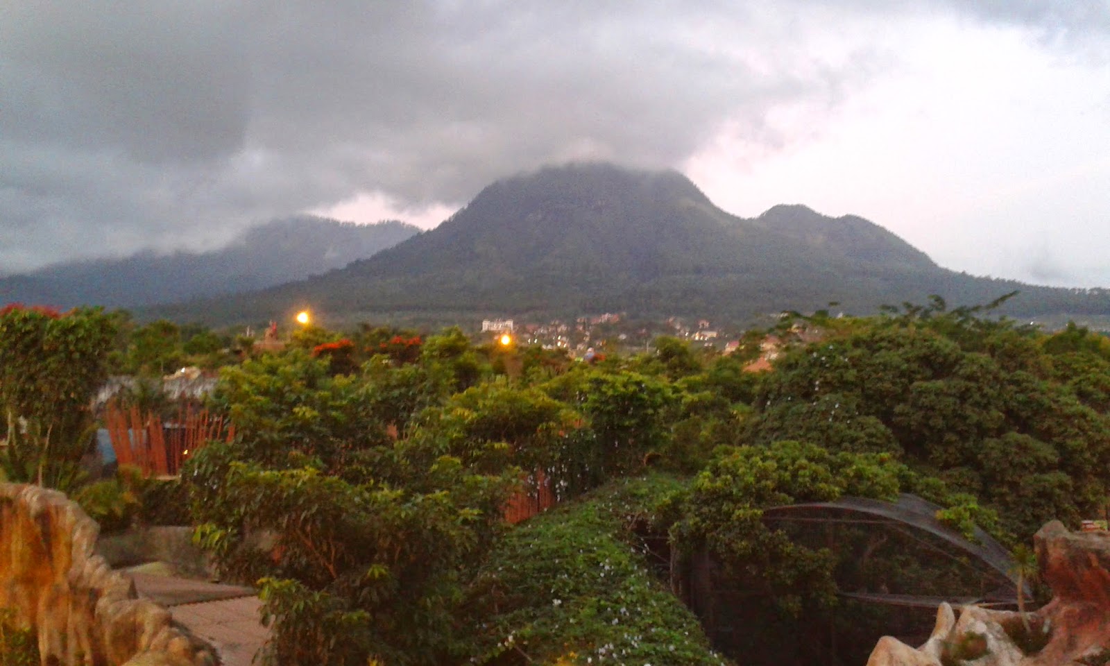 Pengalaman Menginap di Hotel Pohon Inn (Jatim Park 2)