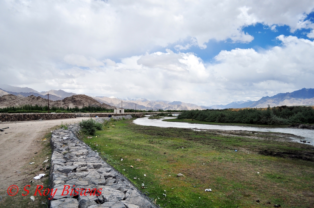 S Roy Biswas: Sindhu Darshan - Shinghe Khababs festival in Leh