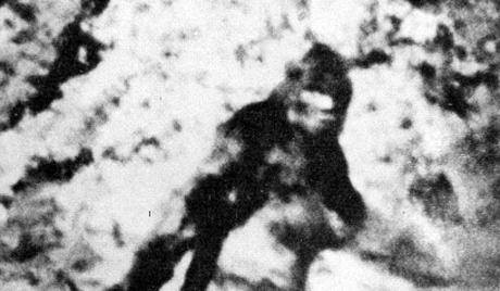 FILOSOFIA IMORTAL: Cientistas afirmam: O yeti é uma realidade