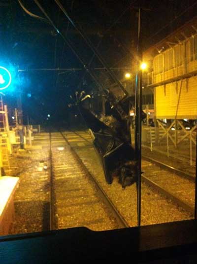 Nothing To Do With Arbroath: Bat train