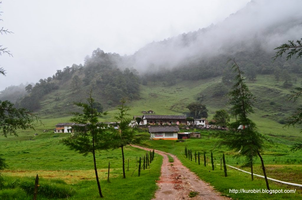 Donde el viento me llevó: junio 2014
