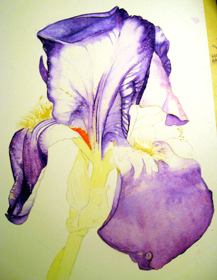 Zelma Cinnamon Fine Art