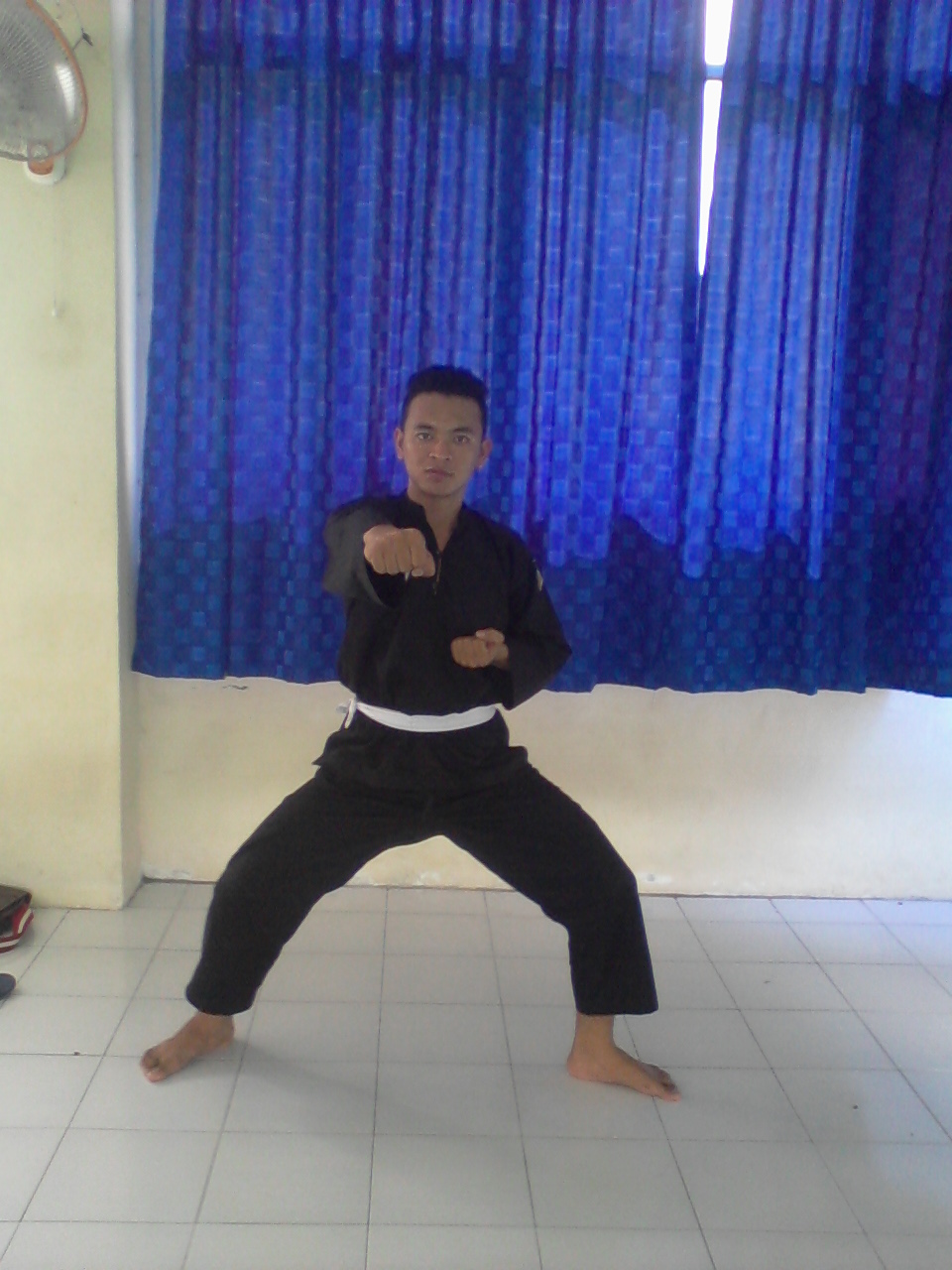 Wahyudi Erdian: TEKNIK-TEKNIK DASAR PENCAK SILAT