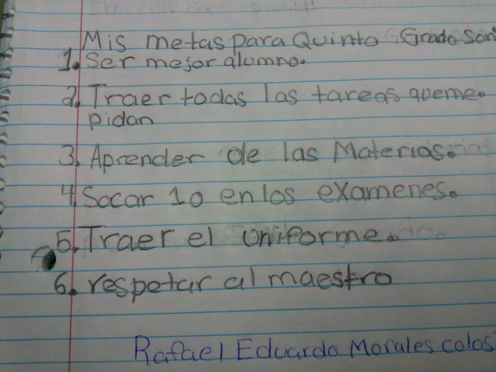 TRABAJOS DE QUINTO GRADO: Metas establecidas por alumnos