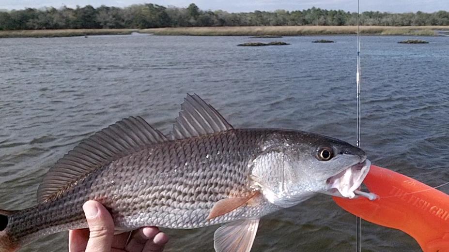 RedFishJax Kayak Fishing