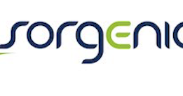 Marketing e Comunicazione: Quello che conta è l'energia che ci metti ...