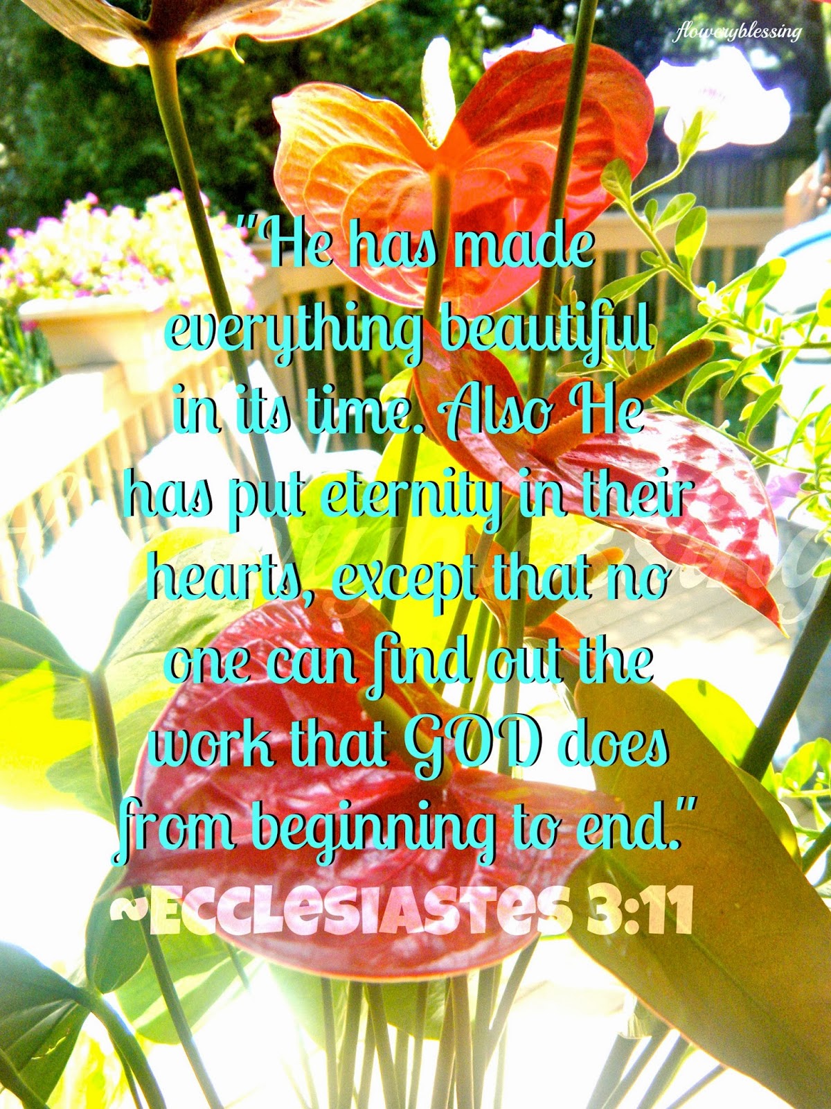 Flowery Blessing: "He has made everything beautiful in its time. Also ...