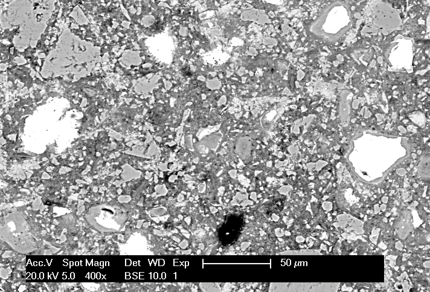 M3C4: Calcareous aggregates on BSE mode
