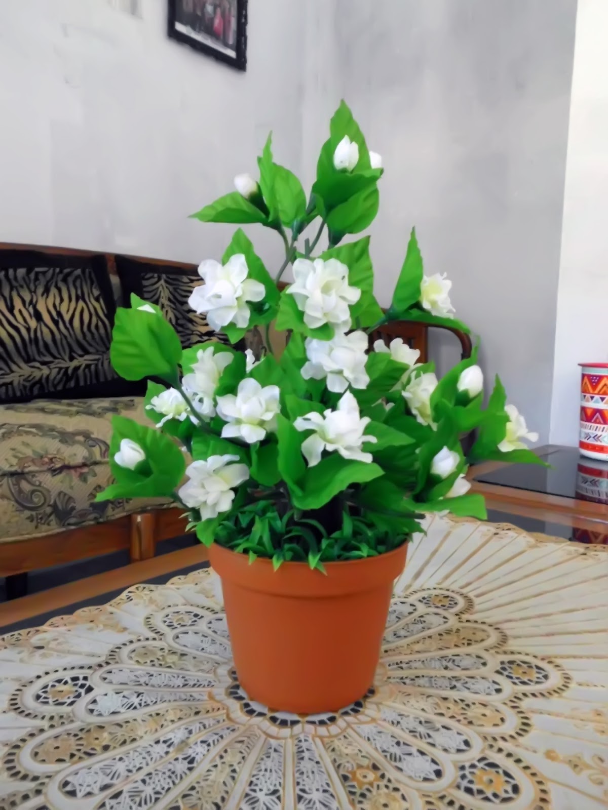 Paling Keren 15+ Gambar Bunga Melati Di Pot - Gambar Bunga Indah