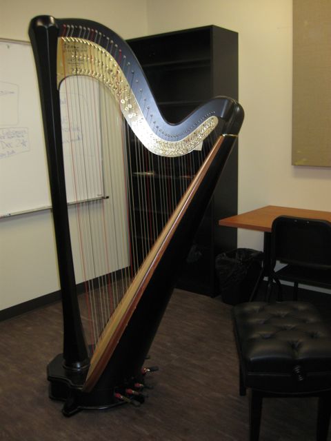 Anne Morse Hambrock News: A New Harp For Parkside!